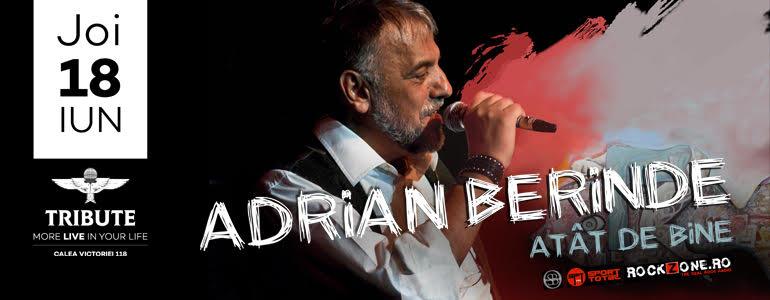 Pagina personală a lui Adrian Berinde
